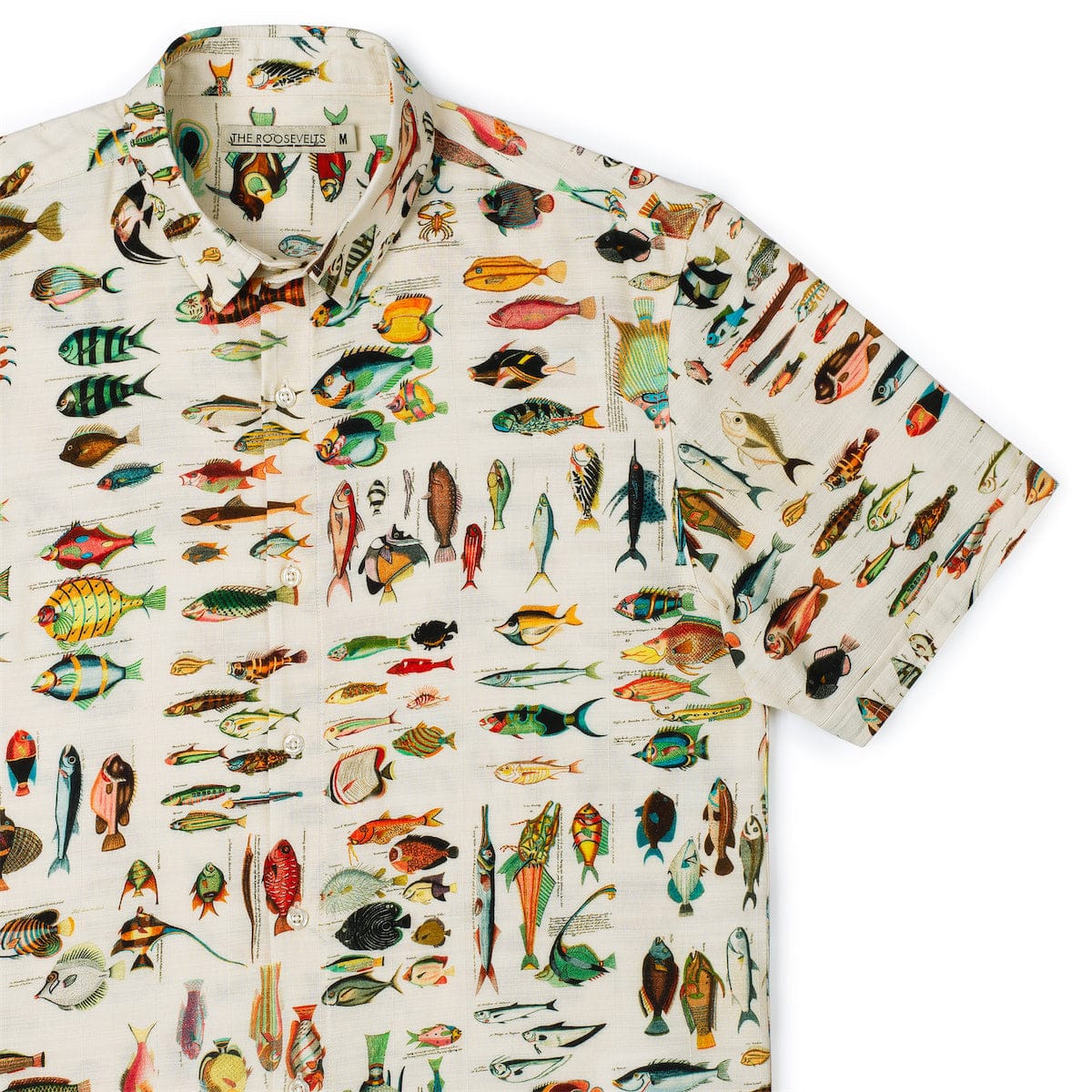 Rough Riders Registry | » Fantastical Fish (Bamboo)